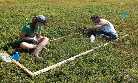 About - Precision Agriculture Research Program - Dalhousie University